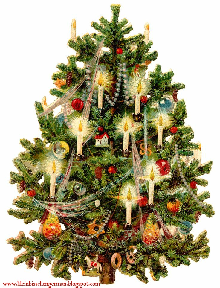 Ein Klein Bisschen German: O Tannenbaum!