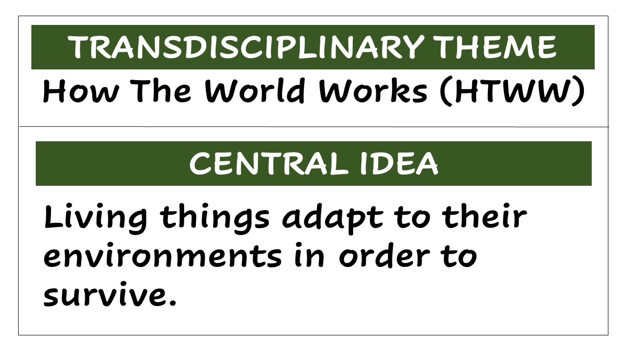 AIA Grade 3D's Class Website: Unit 2: How The World Works (HTWW)