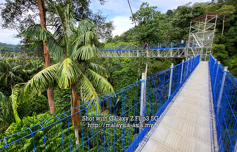 Kepong Forest Skywalk FRIM