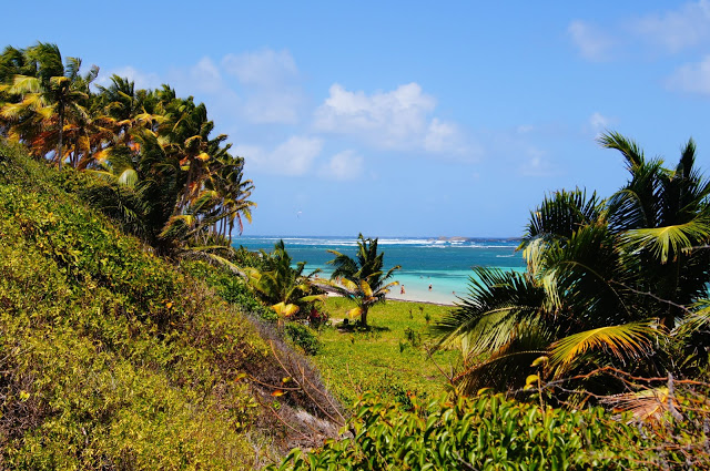 PETITS PARADIS: Anse Michel au Cap Chevalier (Sainte-Anne, Martinique)