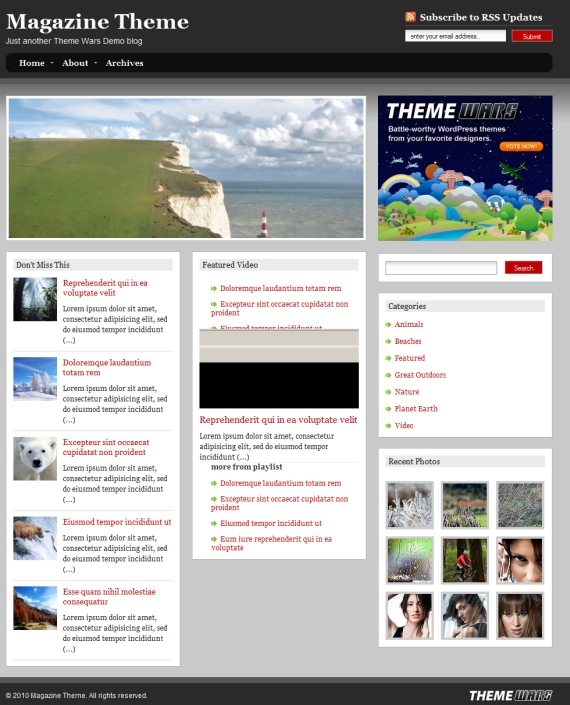 By D Ways: 10 New Magazine/Newspaper Style WordPress Themes