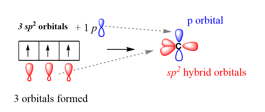 chemistry nut: what is hybridization