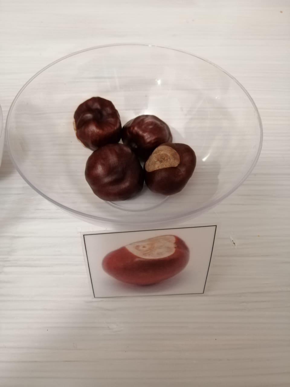 Automne : mathématiques