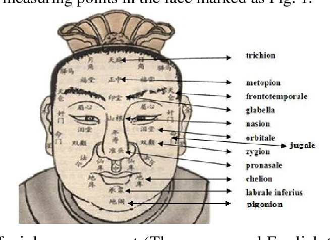 Unlock the Secrets of Chinese Physiognomy and Discover How to Read ...