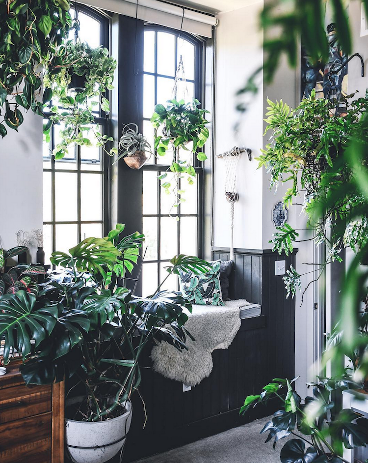 ''Urban Jungle'' An Incredible Loft