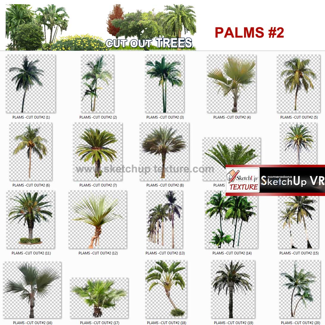 SKETCHUP TEXTURE: PNG CUT OUT PALMS COLLECTION #2