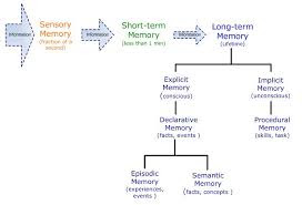 What is Memory? Kinds of Memory Sorts of Remembering Explain in Easy Words