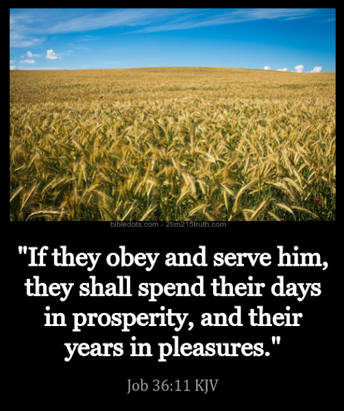 2 Timothy 2:15 Truth: Verse of the Day: Job 36:11 KJV