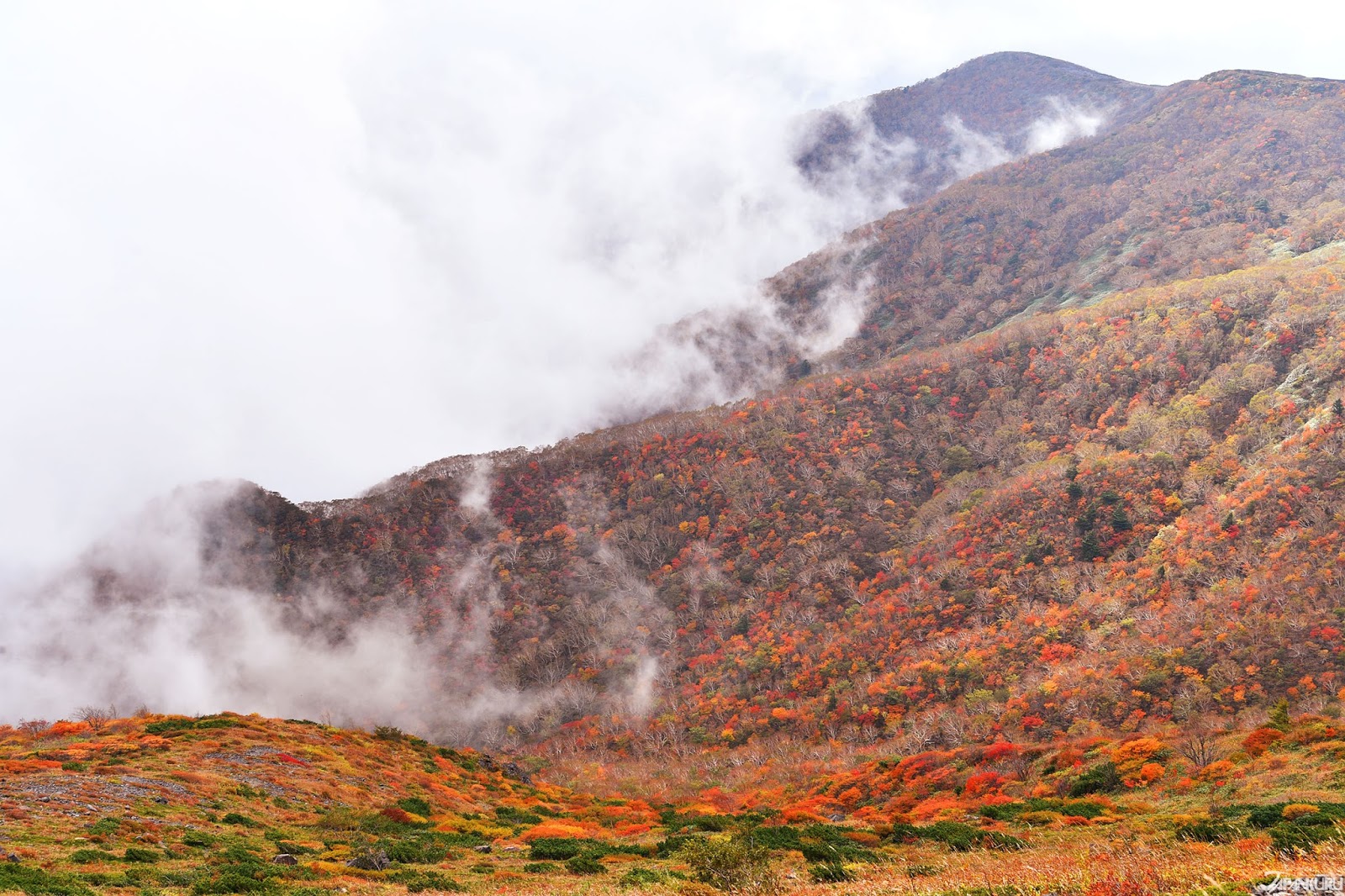 JAPANKURU: Driving around and Enjoying Japan in the Fall 🍁 Visit Some ...