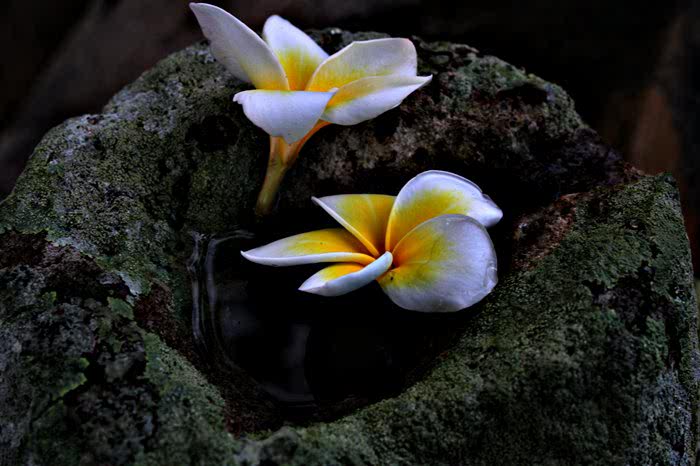 MAROEBOEN: Penelusuran Situs Kerajaan Tanoh Jawa