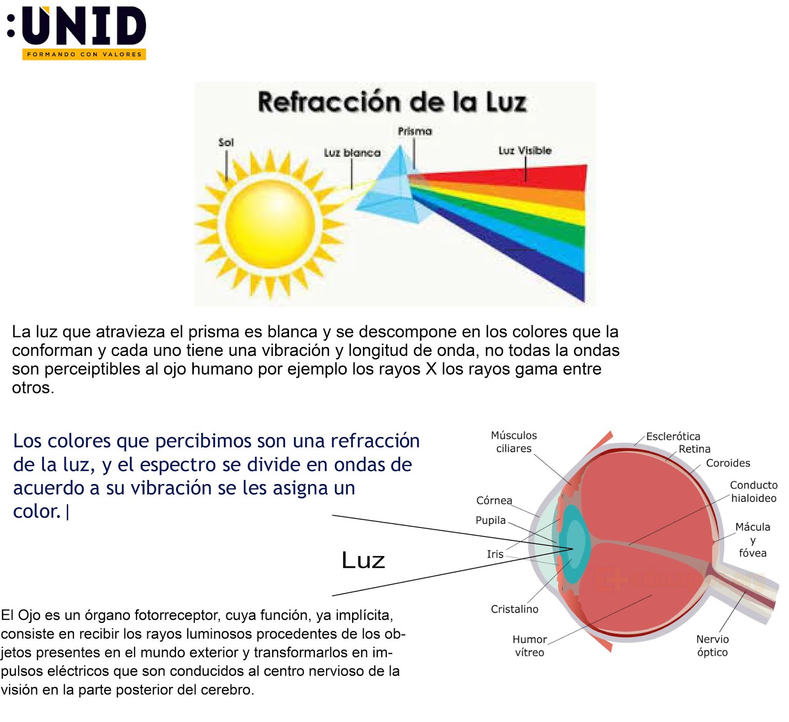 “Uso y aplicación del color, con ayuda del Círculo cromático”: Luz y el ...