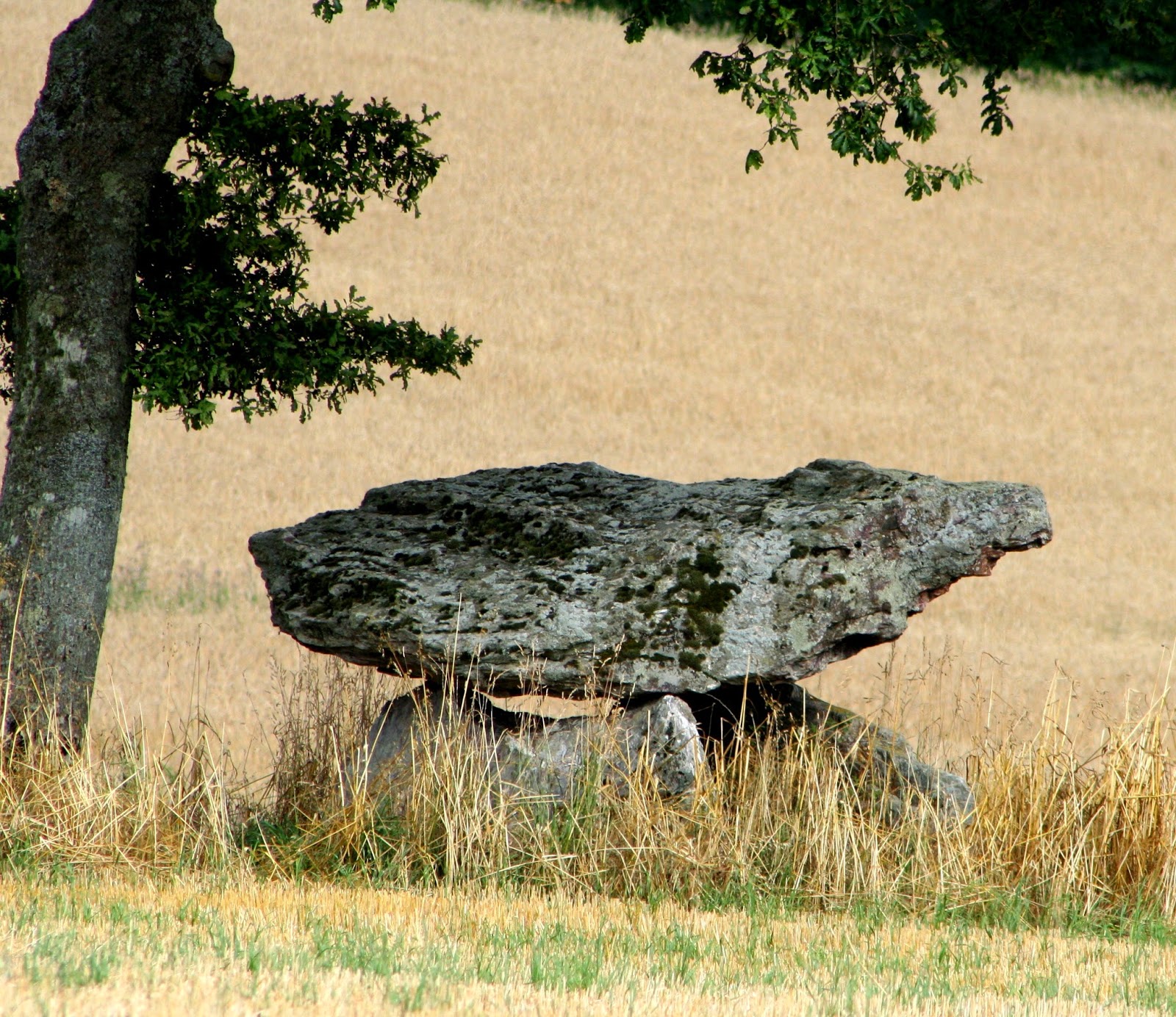 L'art et la nature sous toutes leurs formes: Mégalithes