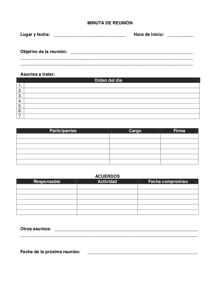 Formato De Minutas De Reunion - Federal Resume