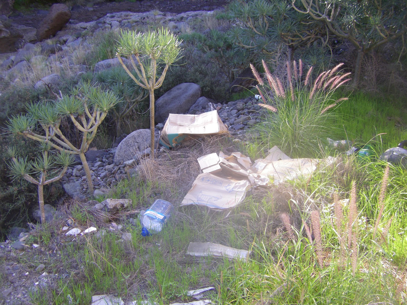 16/12/12 - 23/12/12 ~ EL BLOG DEL PUERTO