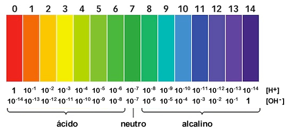 Concepto de pH, expresión matemática, escala de Sorensen, definiciones ...