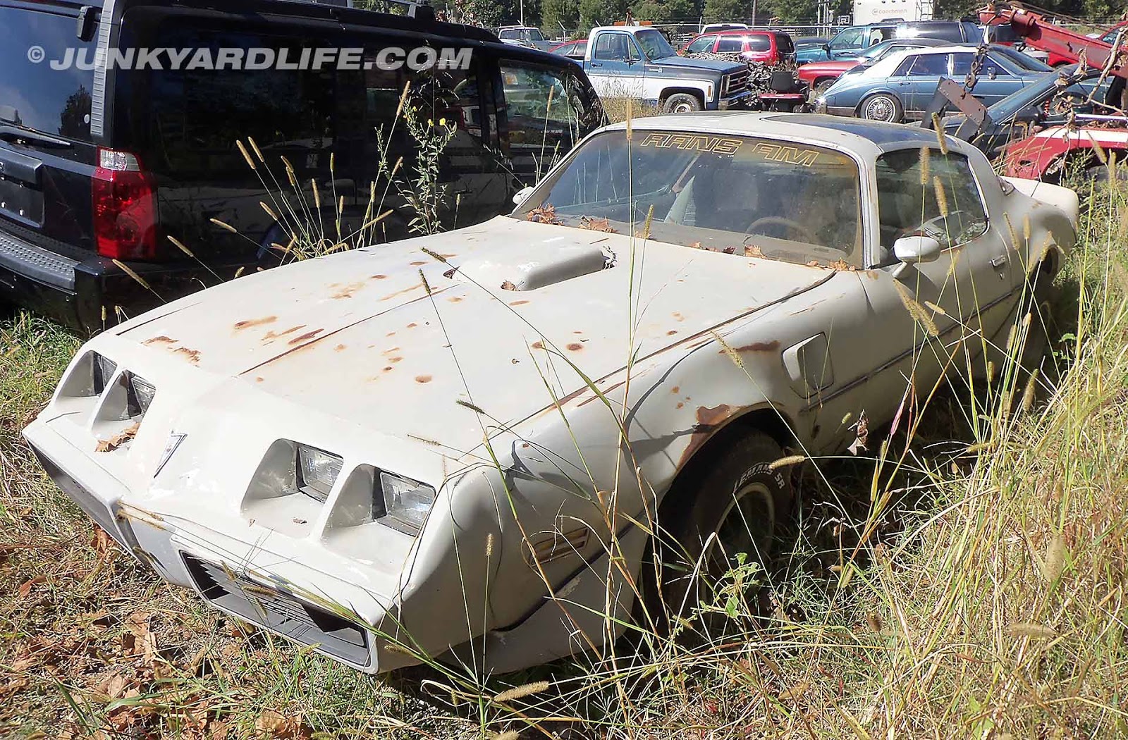 Junkyard Life: Classic Cars, Muscle Cars, Barn finds, Hot rods and part ...