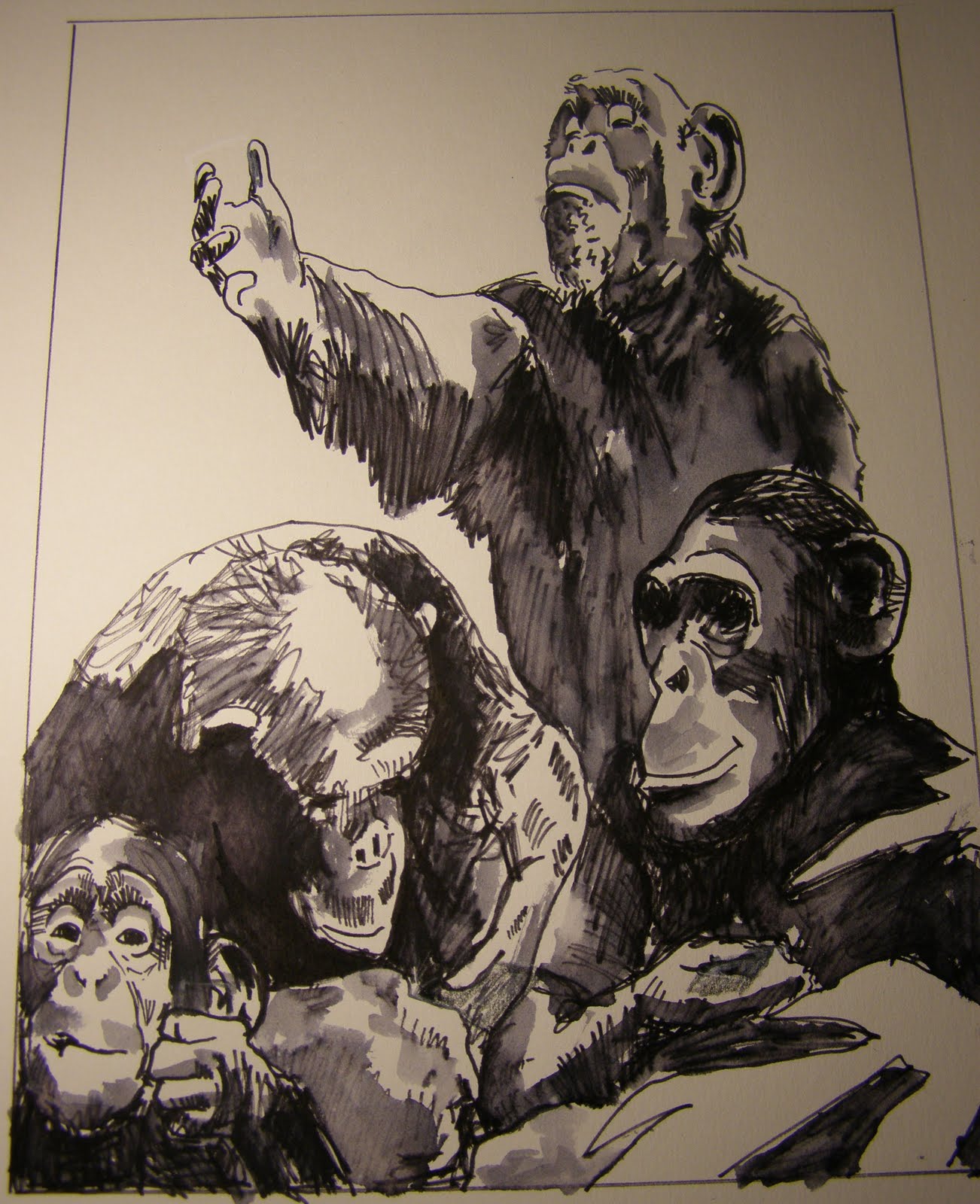 NATHANIEL GOLD: The Social Network