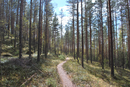 Lassen polku Myrskylässä
