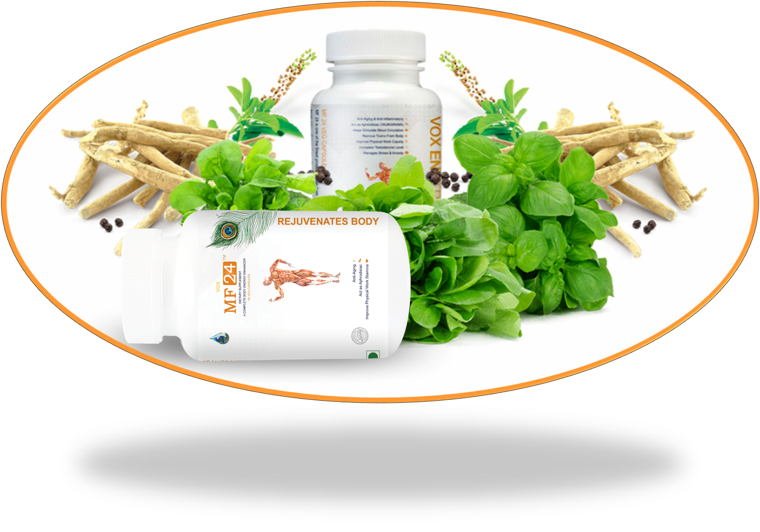 Live Life Long: Immunity