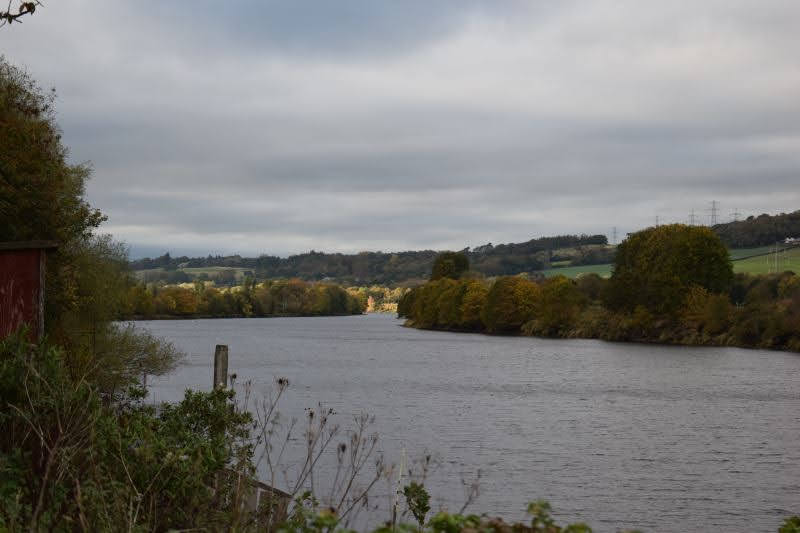 Photographs Of Newcastle: Ryton Willows