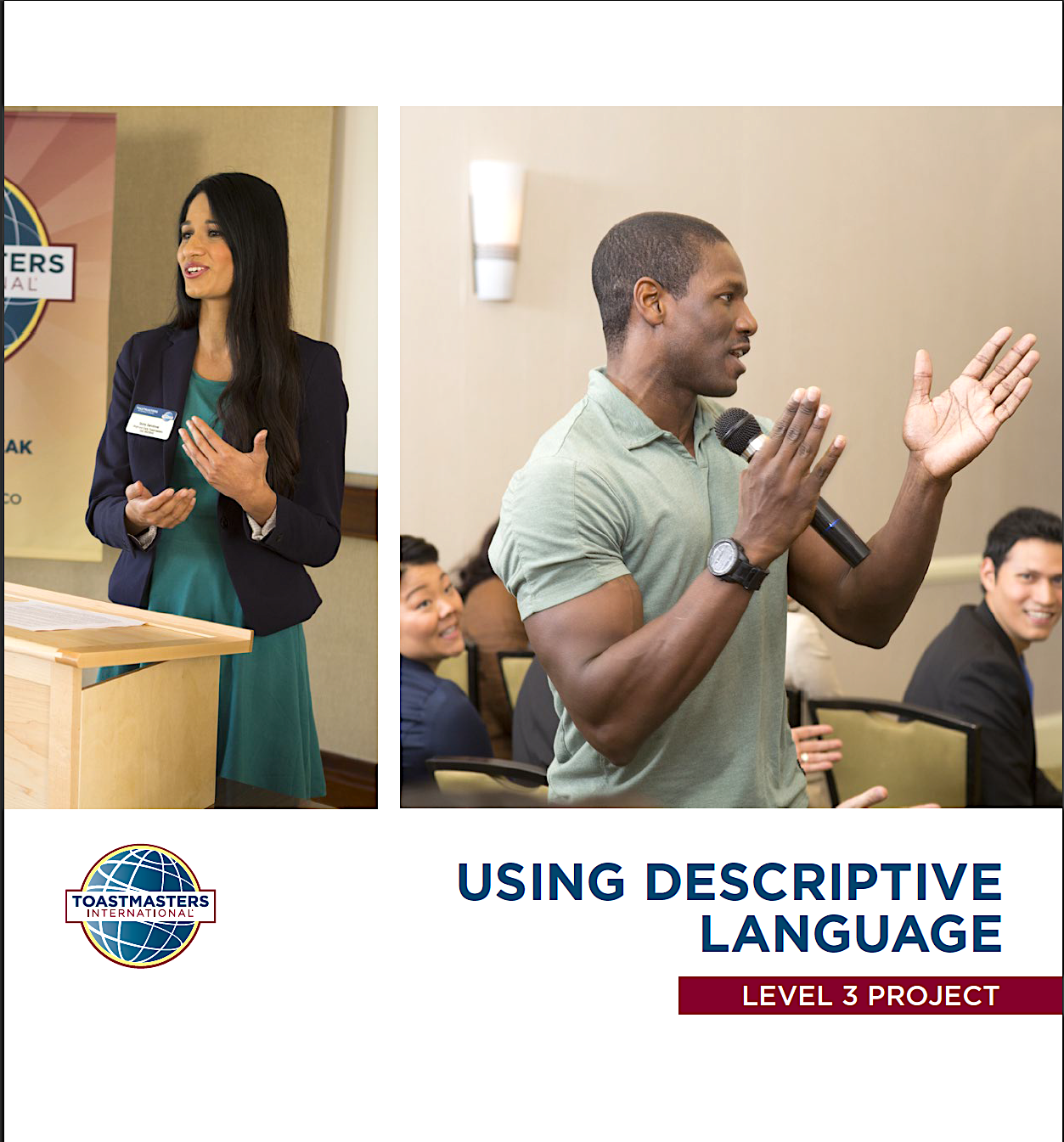Pathways experience: Level 3 Project: Using Descriptive Language