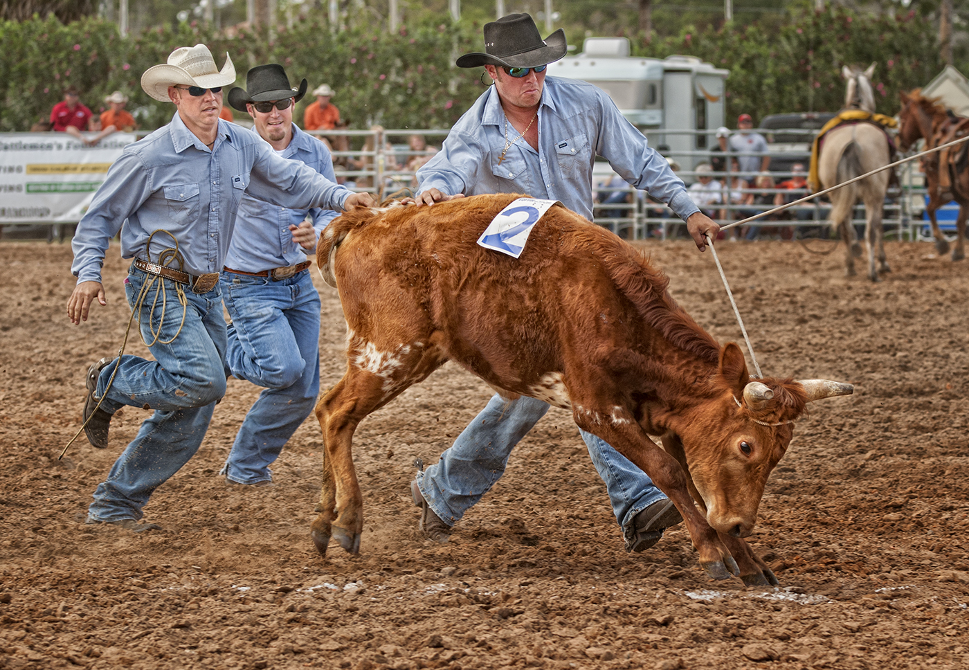 Photography Journal by Katherine Bargar: Ranch Rodeo Day - Yee Haw!