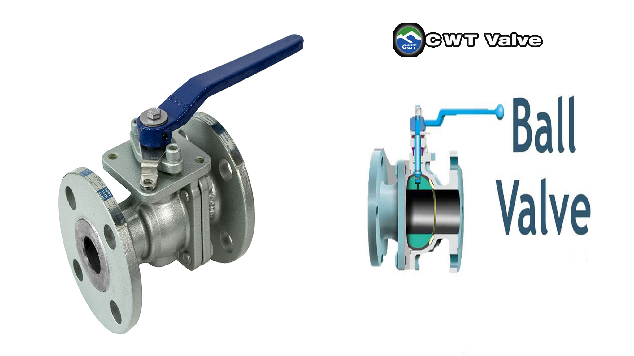CWT Valve: 2021