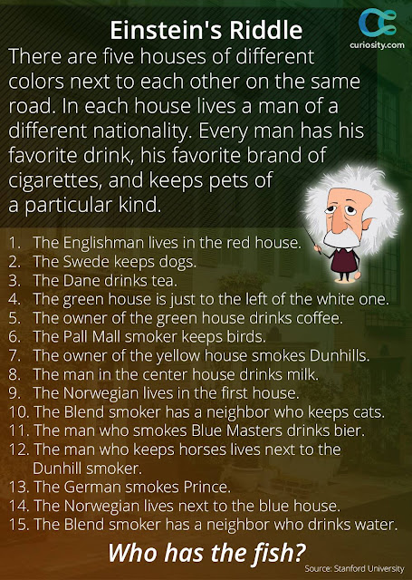 Polivision?: Einstein's Riddle