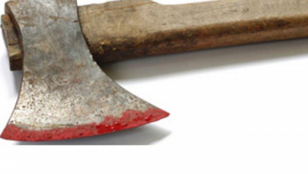 Călimara cu cerneală: INTERVIU PLAUZIBIL, VITORIA LIPAN: Nici baltag nu ...