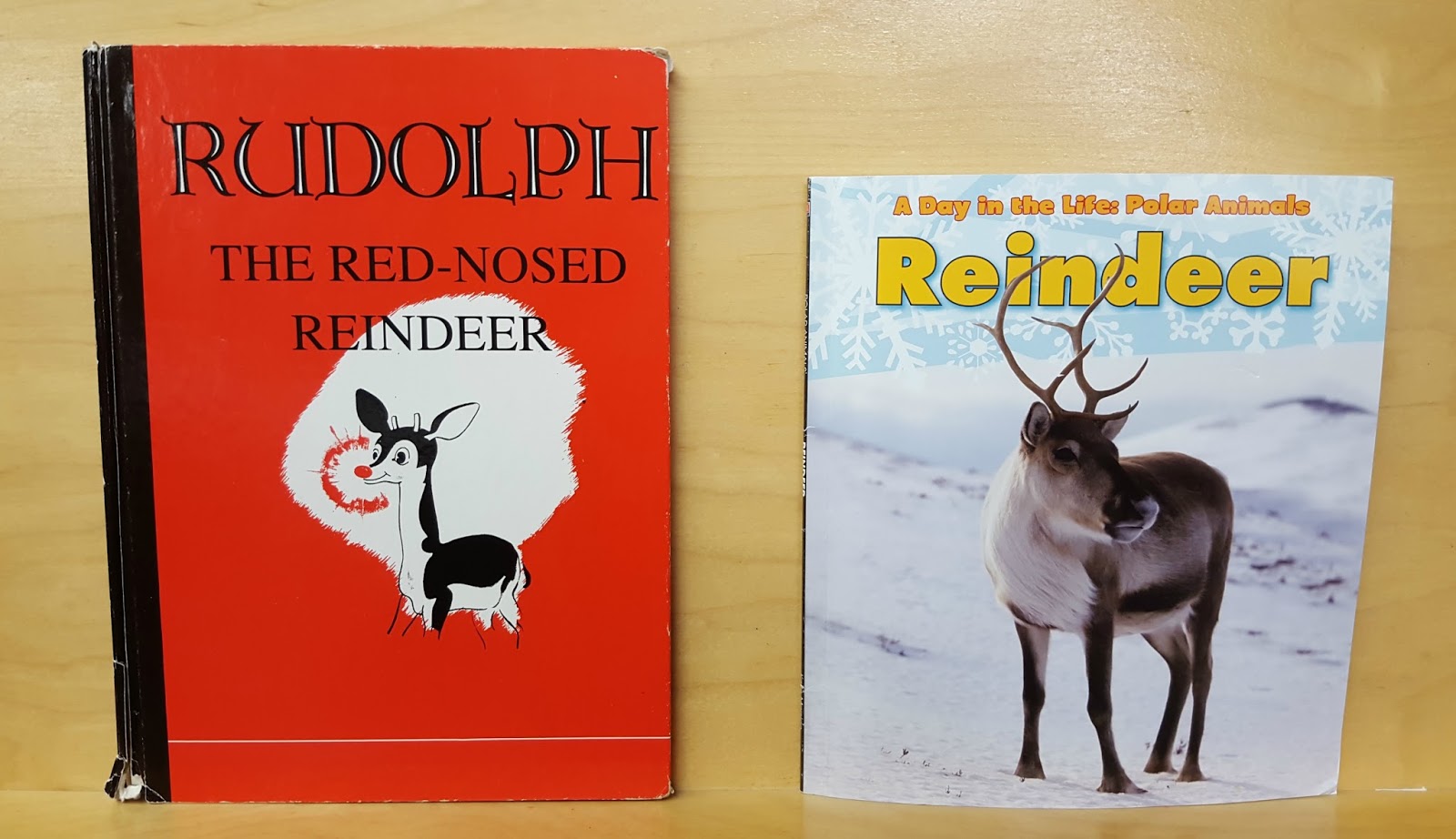 Memories Made in First: Rudolph the Red-Nosed Reindeer Day