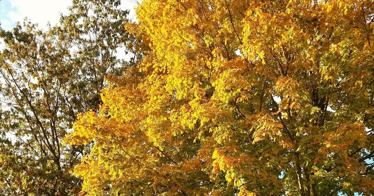 Eastern Shore Magazine ™ - Chesapeake Bay, Maryland, Virginia, Delaware ...