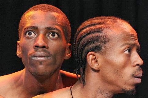 artSMart: WOZA ALBERT!