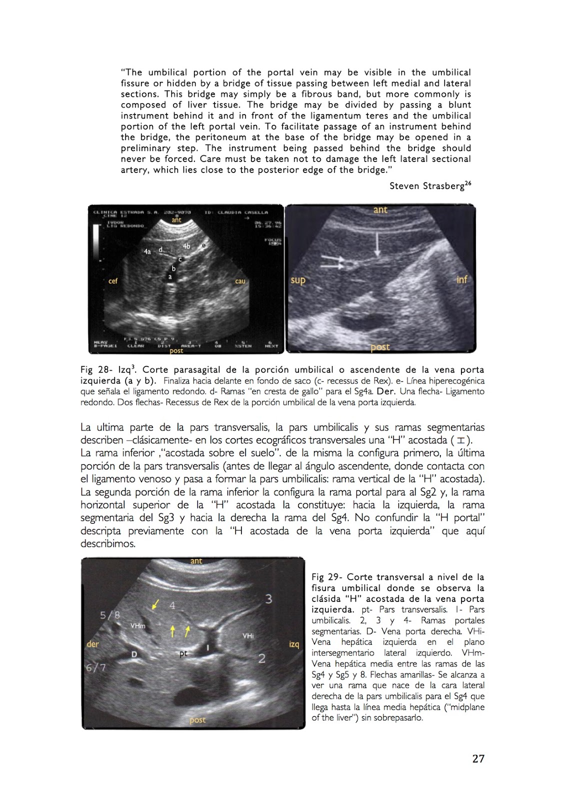 Cuadernos de Anatomía Quirúrgica: Anatomía ecográfica de las ramas ...