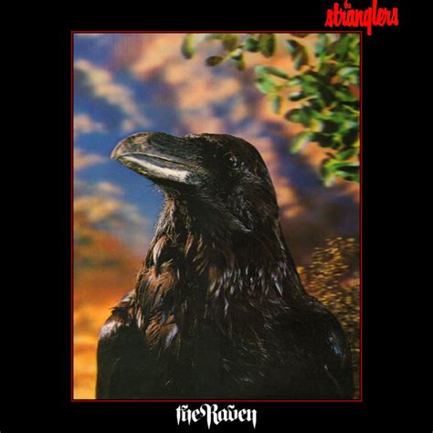Stranglers France: L'anniversaire du Corbeau