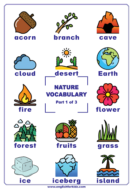 Nature Vocabulary Posters