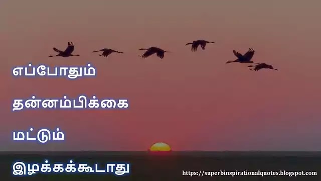ஒரு வரியில் தமிழ் சிந்தனை வரிகள் - 02 | Tamil thought lines in one line ...