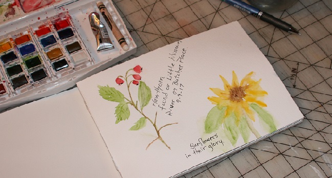 Gumbo Lily: Fall nature journal pages...