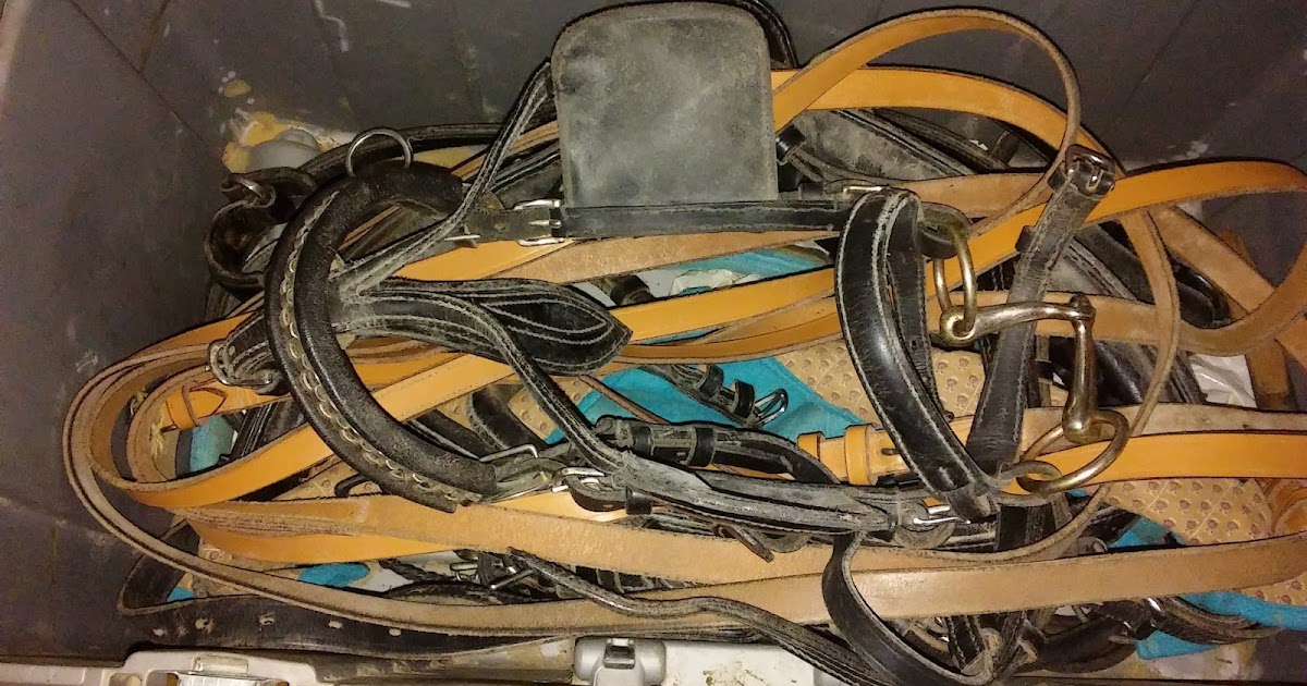 Show In Style: Harnessing up