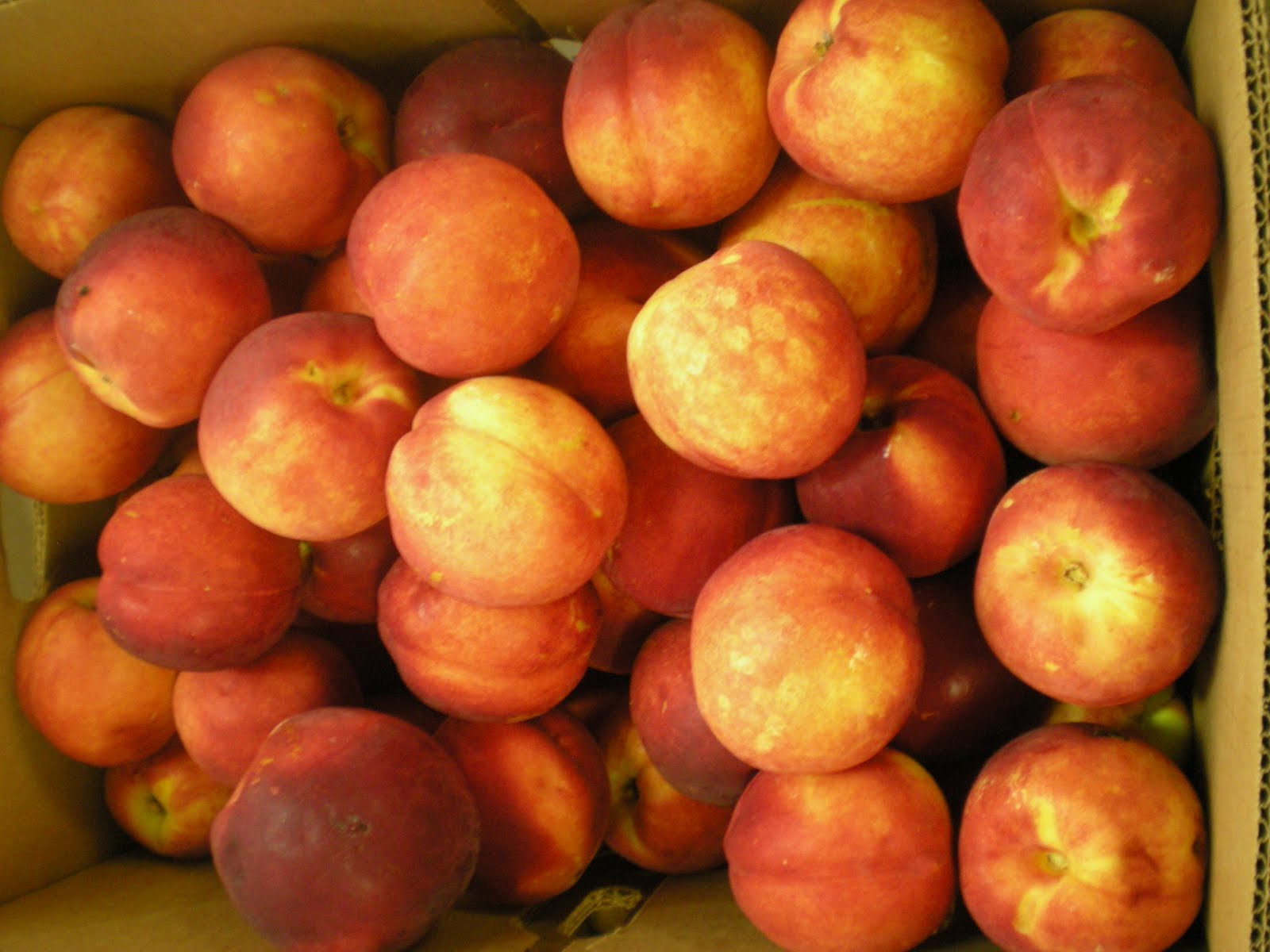 Jarvis House: Peaches at Gross' Orchard Bedford, Virginia