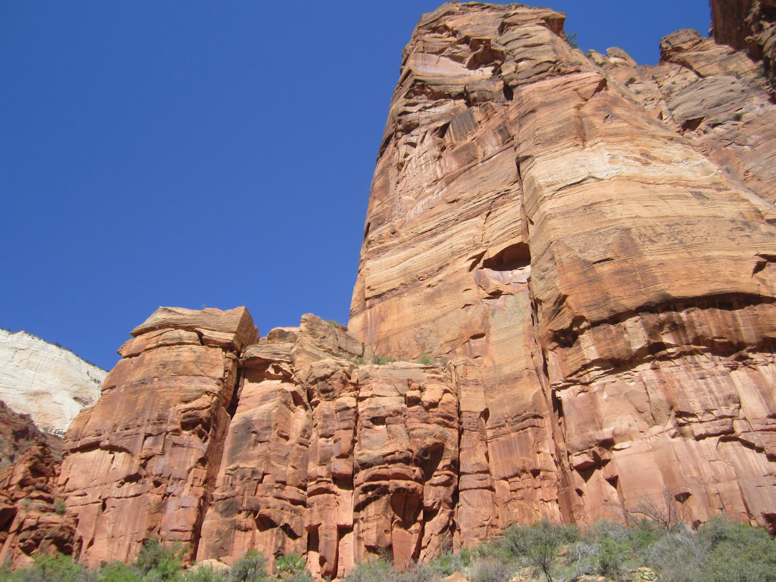 Bay Area Climbing - All Things Beta!: Zion National Park