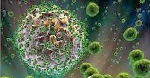 PASANDO PAGINA: ¿¿ que pasa en la muerte de celulas ??? Como se ...