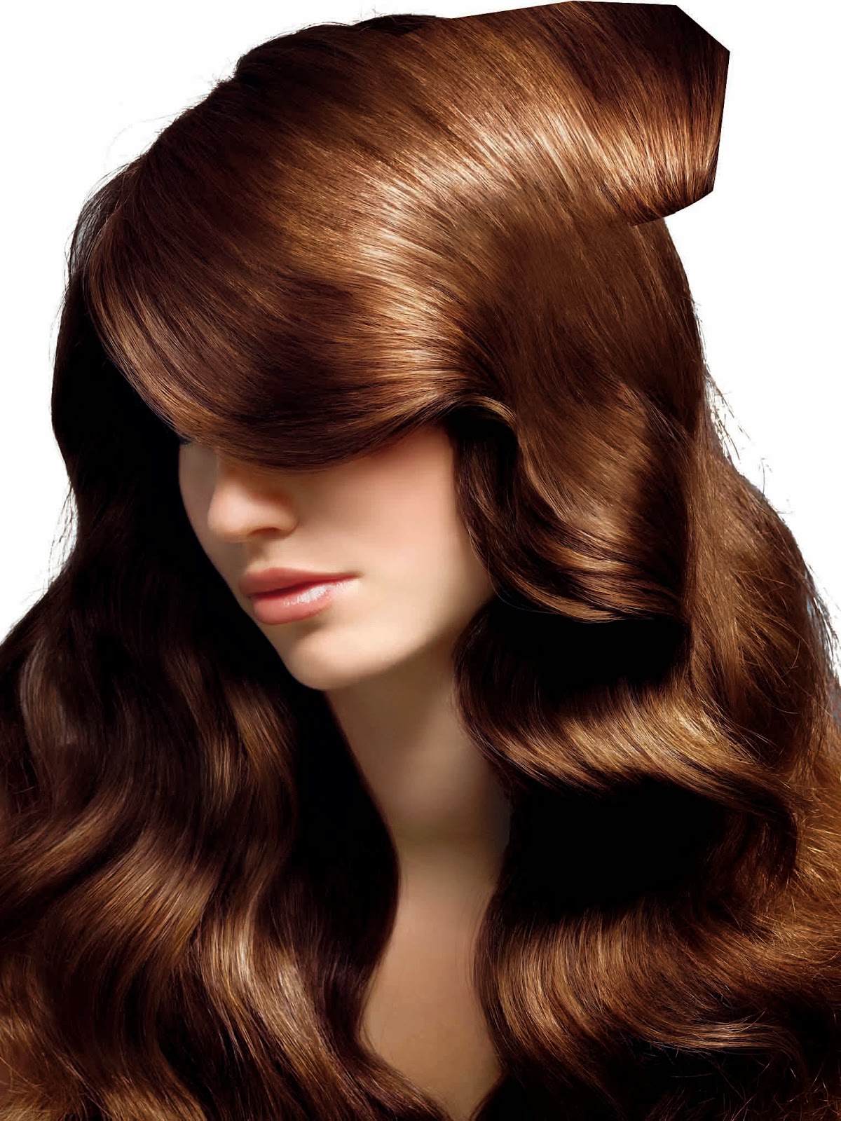 SYOSS COLOUR Invasion :Trendsetting Shades