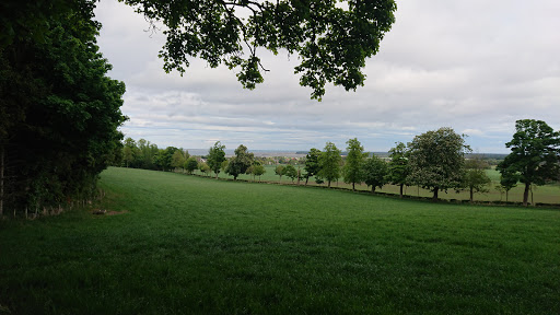 Pauls Leisure Walks: Tayport-Serpentine Walk (approx. 4 miles, 1hr 30min)