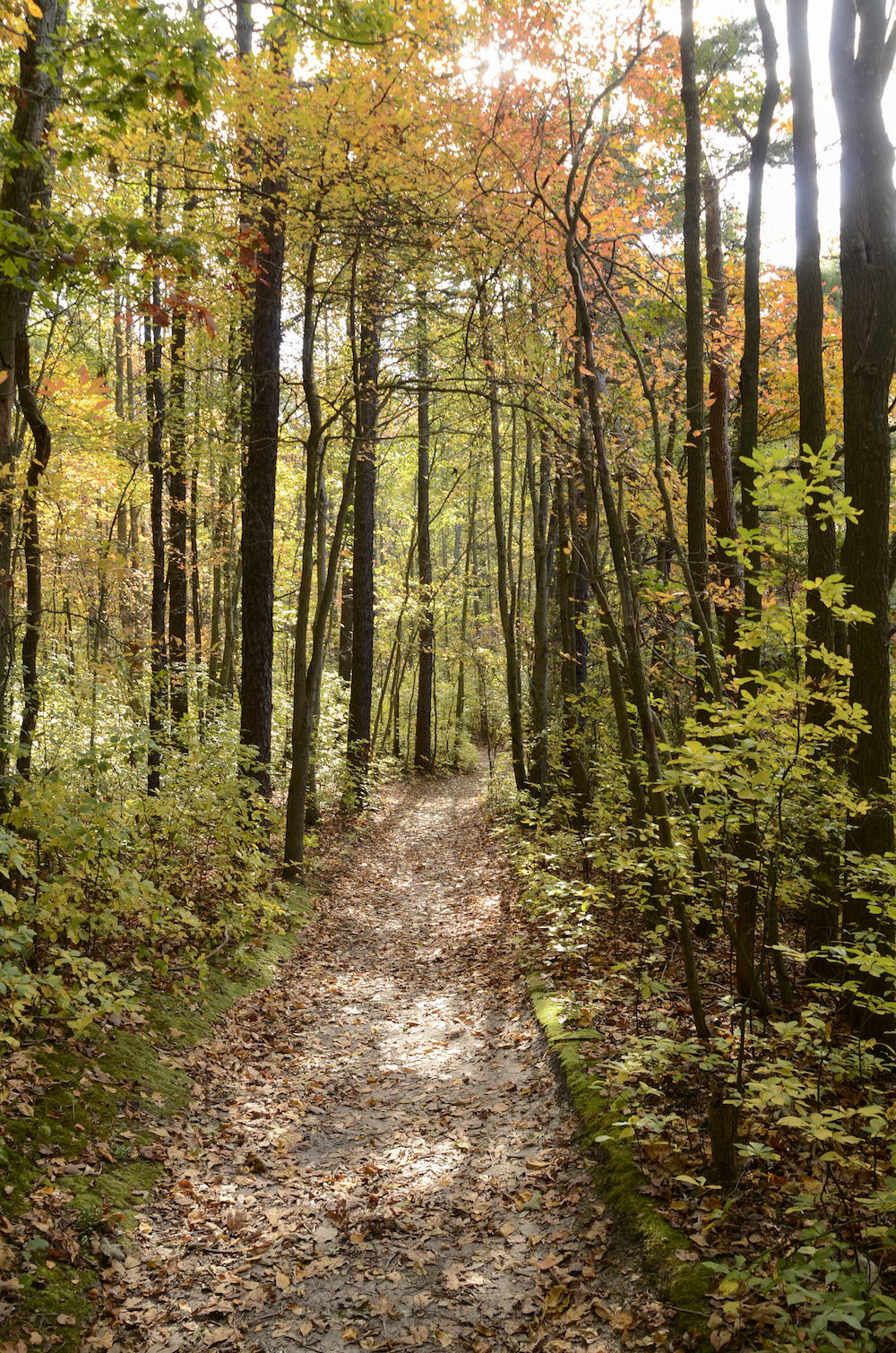 Monmouth County Park System: Explore & Discover Your Park System Trails