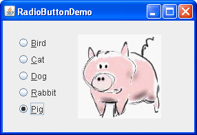 Uso de RadioButtons en Java : Programacion II