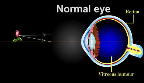 El Rincón del Pequeprofe: Our senses