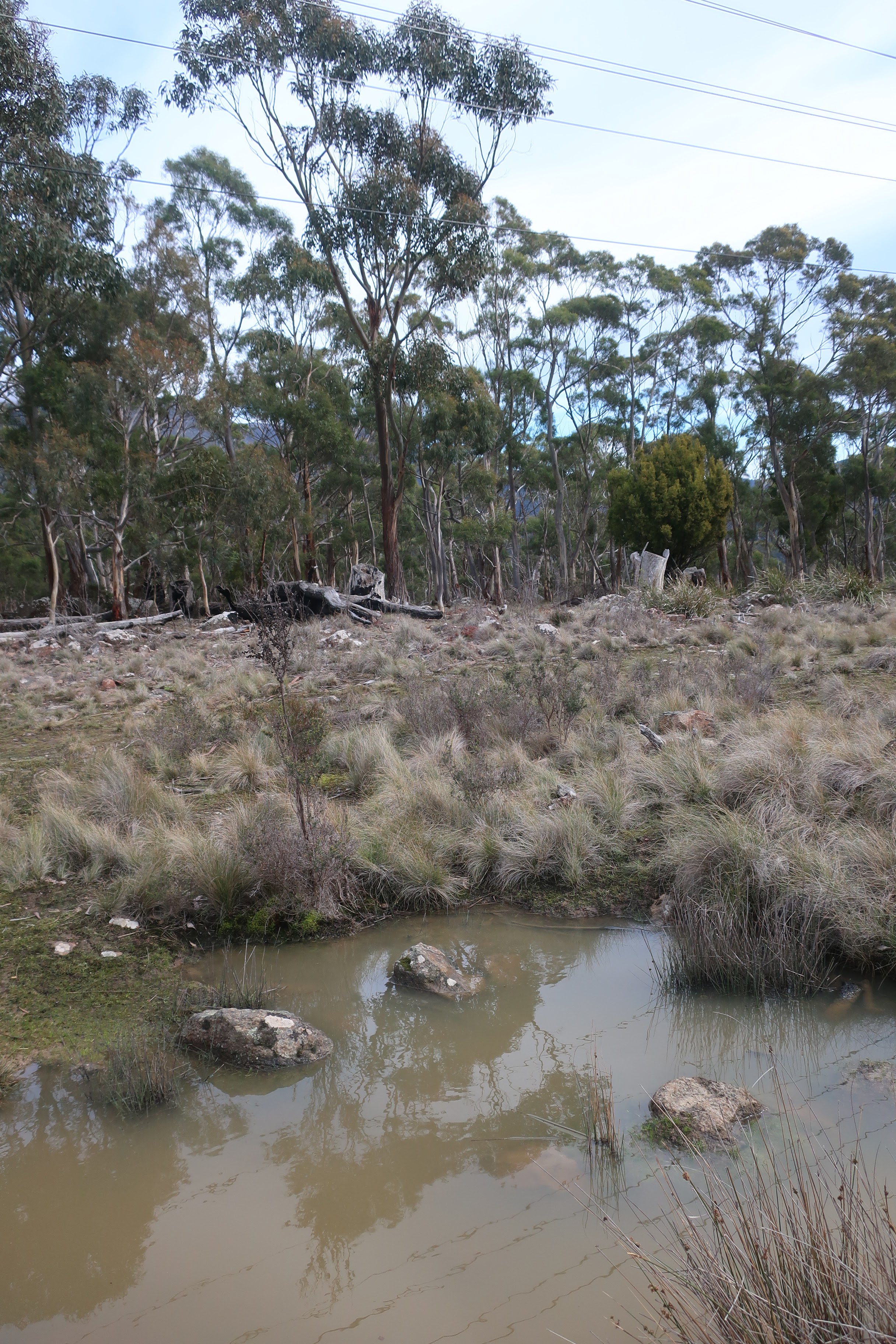 Ramblers : Knocklofty Reserve