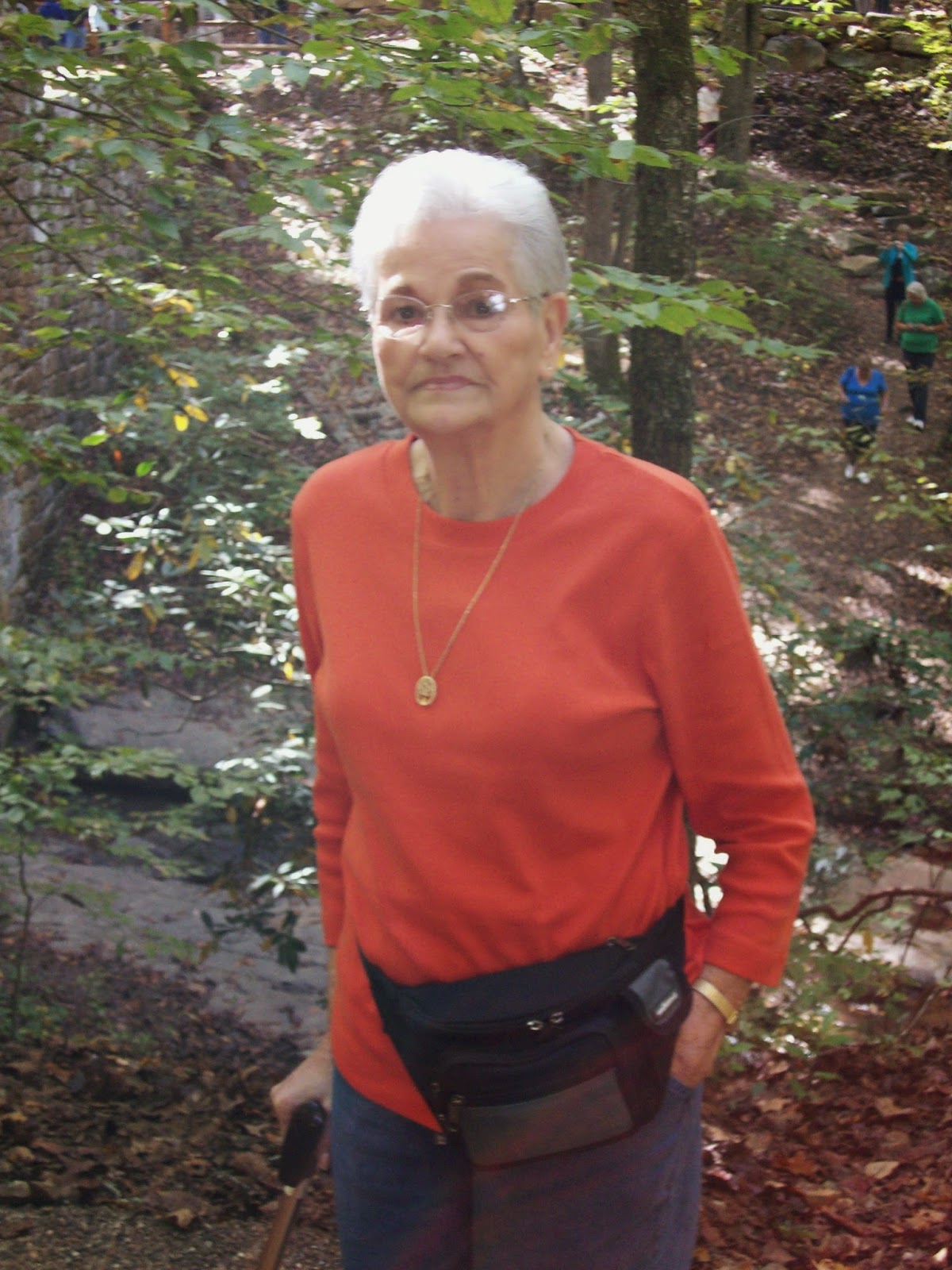 Ric's Travels: Tour of The Dark Corner in South Carolina