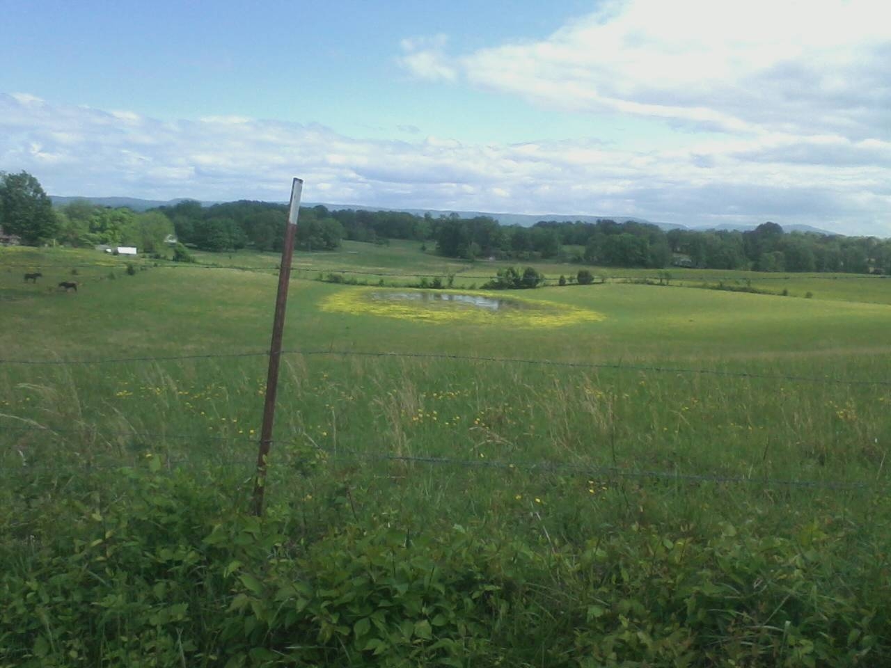 Ron Isbell Pictures: Ron Isbell Pictures 2013