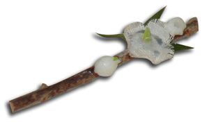 Between the Ears: The Other Ark of Moses